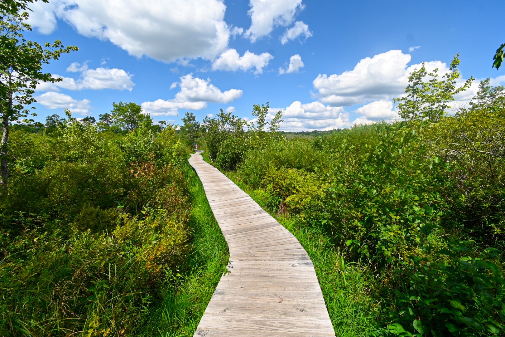 Short but Sweet Hikes in Connecticut | CTvisit